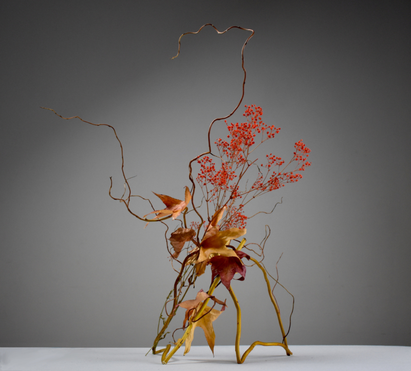 Línea, masa, color - Ikebana by Leslie Weinstein